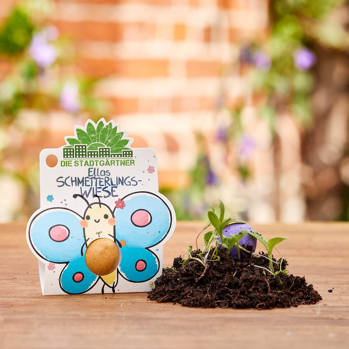 3 bunte Blumenmurmeln: Timos Bienenschmaus, Ellas Schmetterlingswiese ...