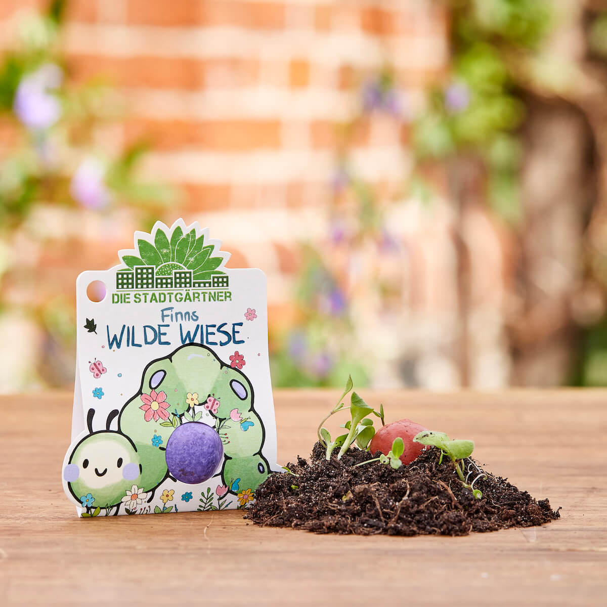 3 bunte Blumenmurmeln: Timos Bienenschmaus, Ellas Schmetterlingswiese ...