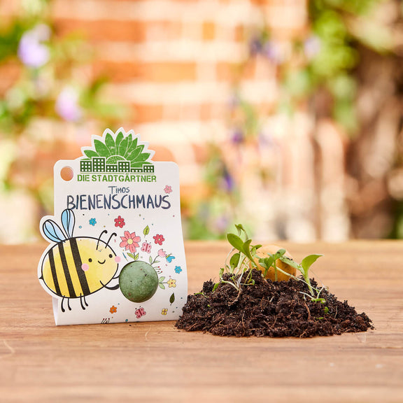 3 bunte Blumenmurmeln: Timos Bienenschmaus, Ellas Schmetterlingswiese ...